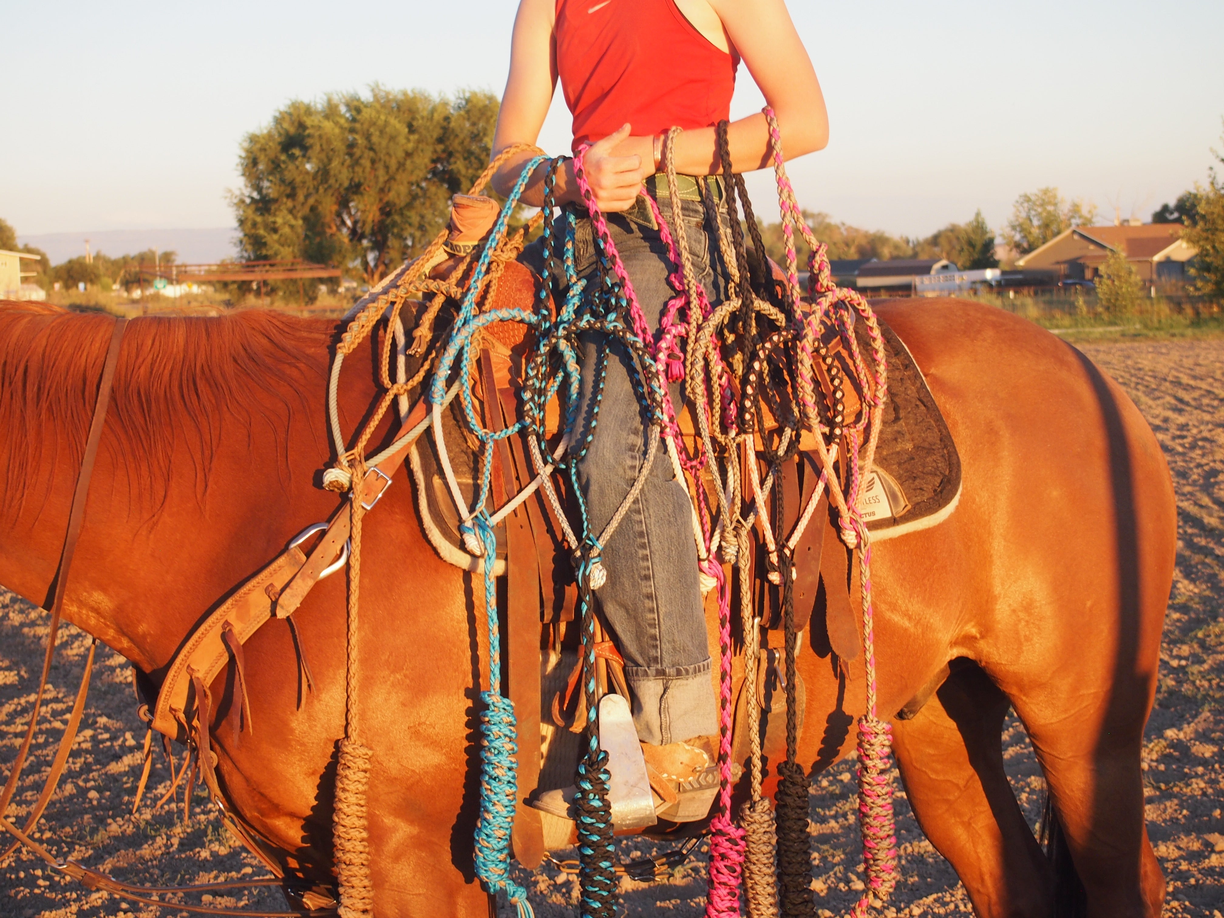 Halters – West CO Silver